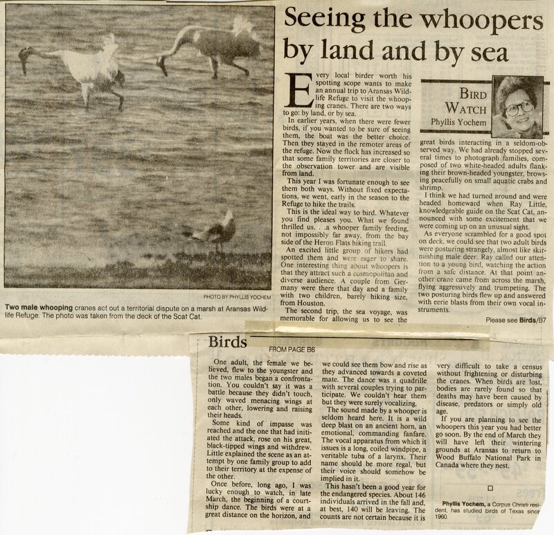 Article by Phyllis Yochem titled "Bird Watch.” Undated · Birds of a ...