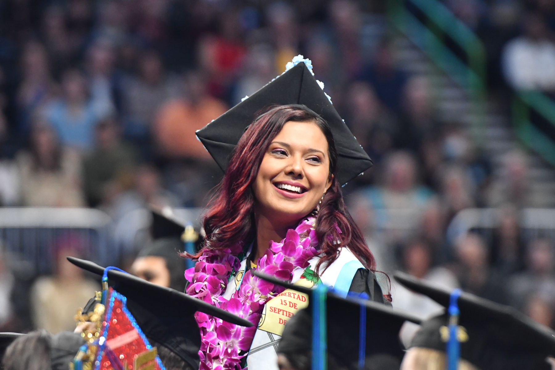 eLine, BSN | Undergraduate Programs | Programs | Texas A&M University ...