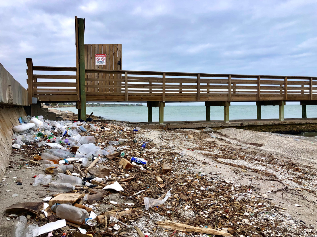Code Blue | Texas A&M University-Corpus Christi