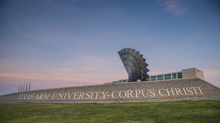 Admissions | Texas A&M University-Corpus Christi