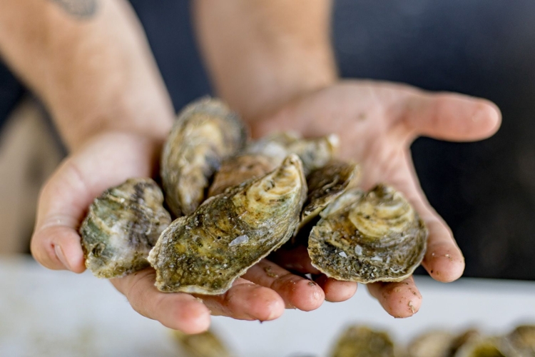 School of Arts, Media, & Communication | The School of Arts, Media ...