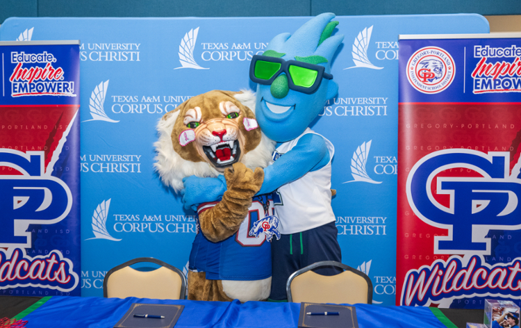 Engineering, MS | Graduate Programs | Programs | Texas A&M University ...